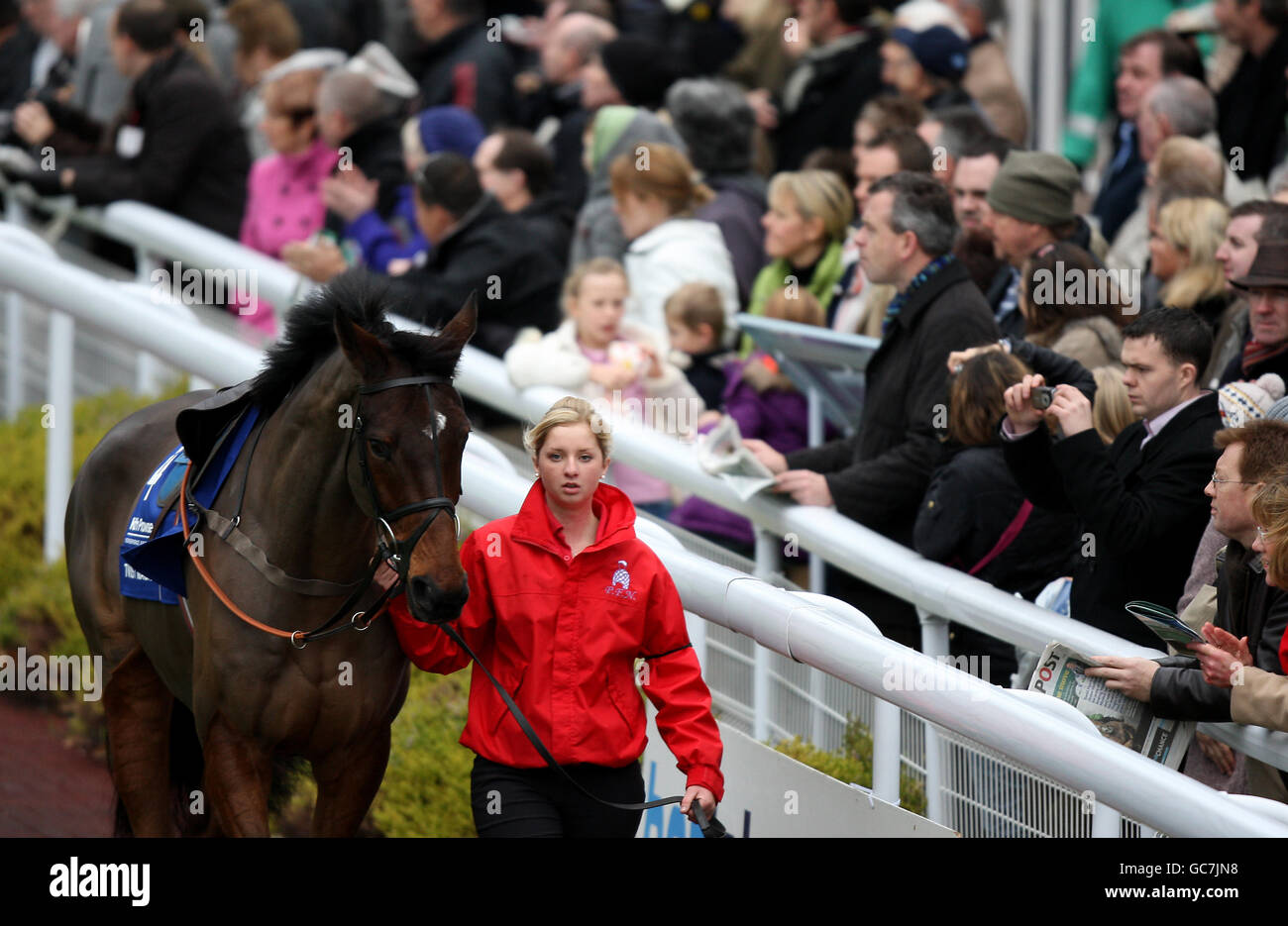 Test Magic is paraded in the parade ring before the Keith Prowse ...