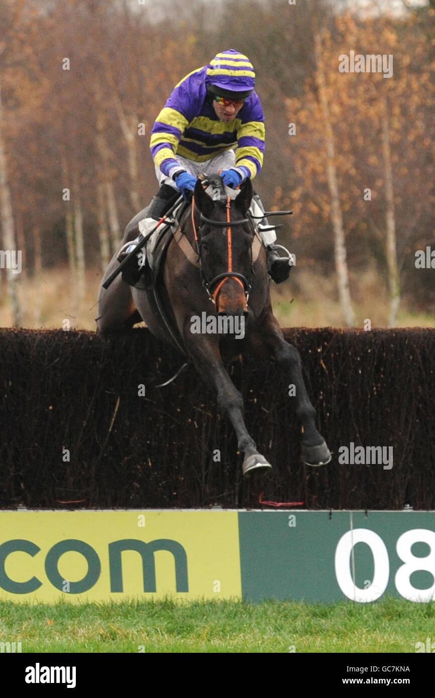 Chapel Flowers ridden by Lee Stephens during The John Uren 70th ...