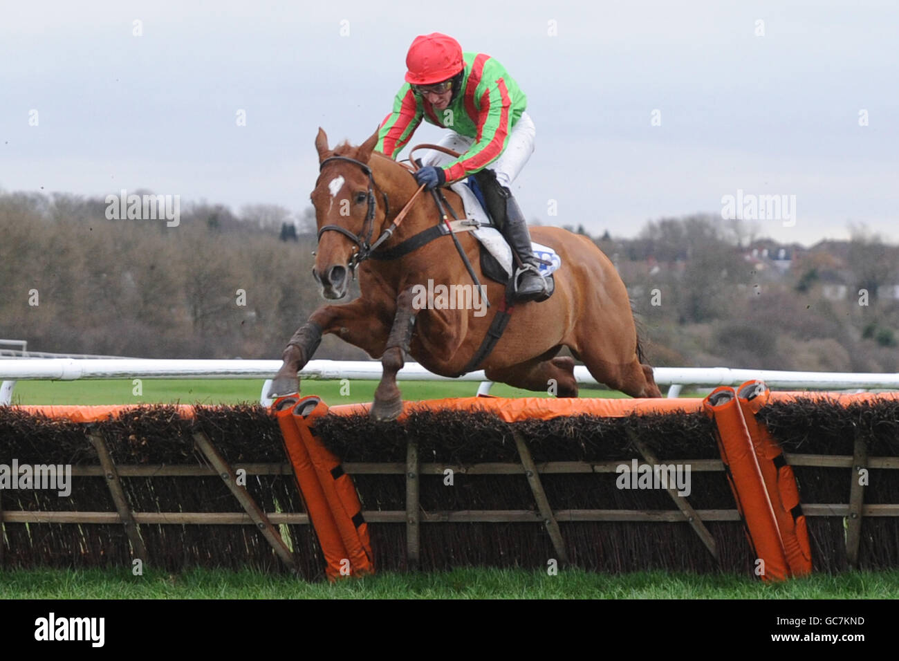 Horse Racing - Leicester Racecourse Stock Photo - Alamy