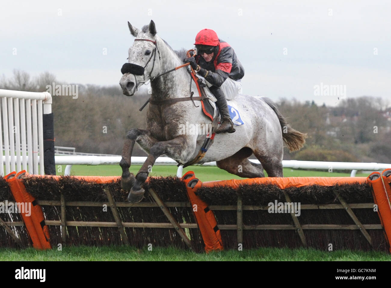 Tilly Shilling ridden by Dean Coleman during the Barkby Conditional ...