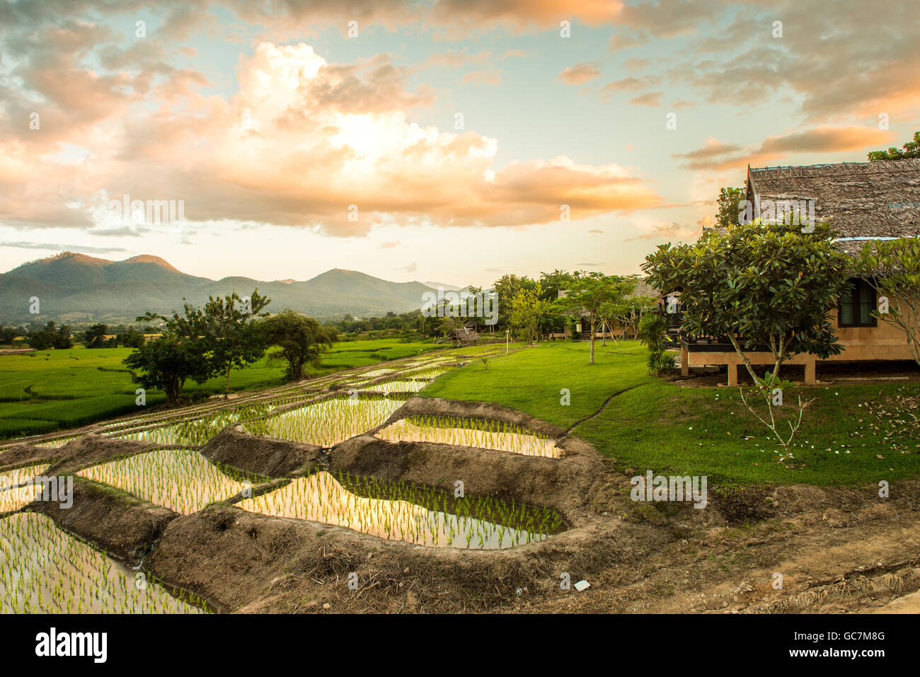 Pai District High Resolution Stock Photography and Images - Alamy