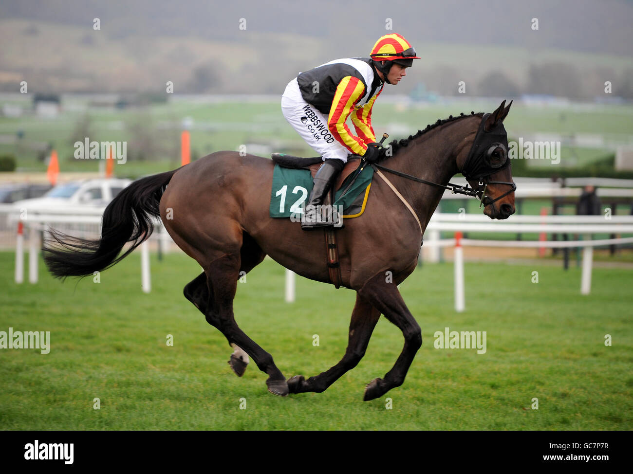 Jockey Tom Molley on Kirby's Vic goes to post in The CF Roberts ...