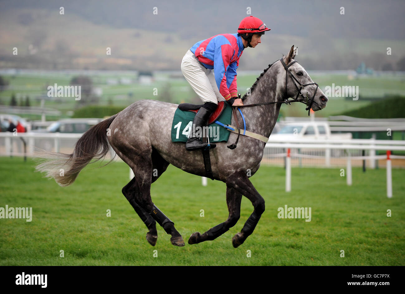 Jockey Giles Hawkins on Lidjo de Rouge goes to post in the CF Roberts ...