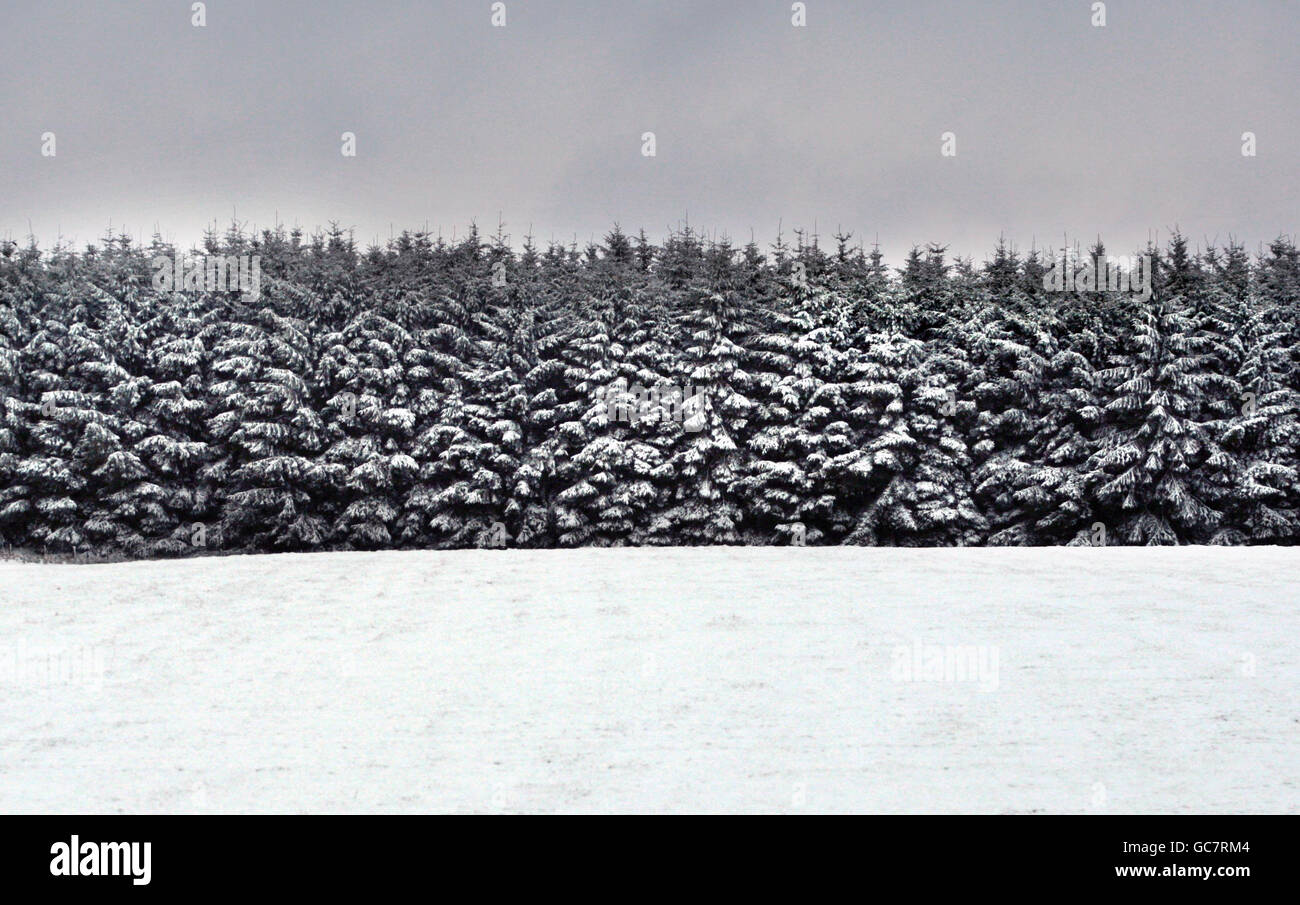 Weather - Winter Snowfall - Scottish Borders. Snow falls in the ...