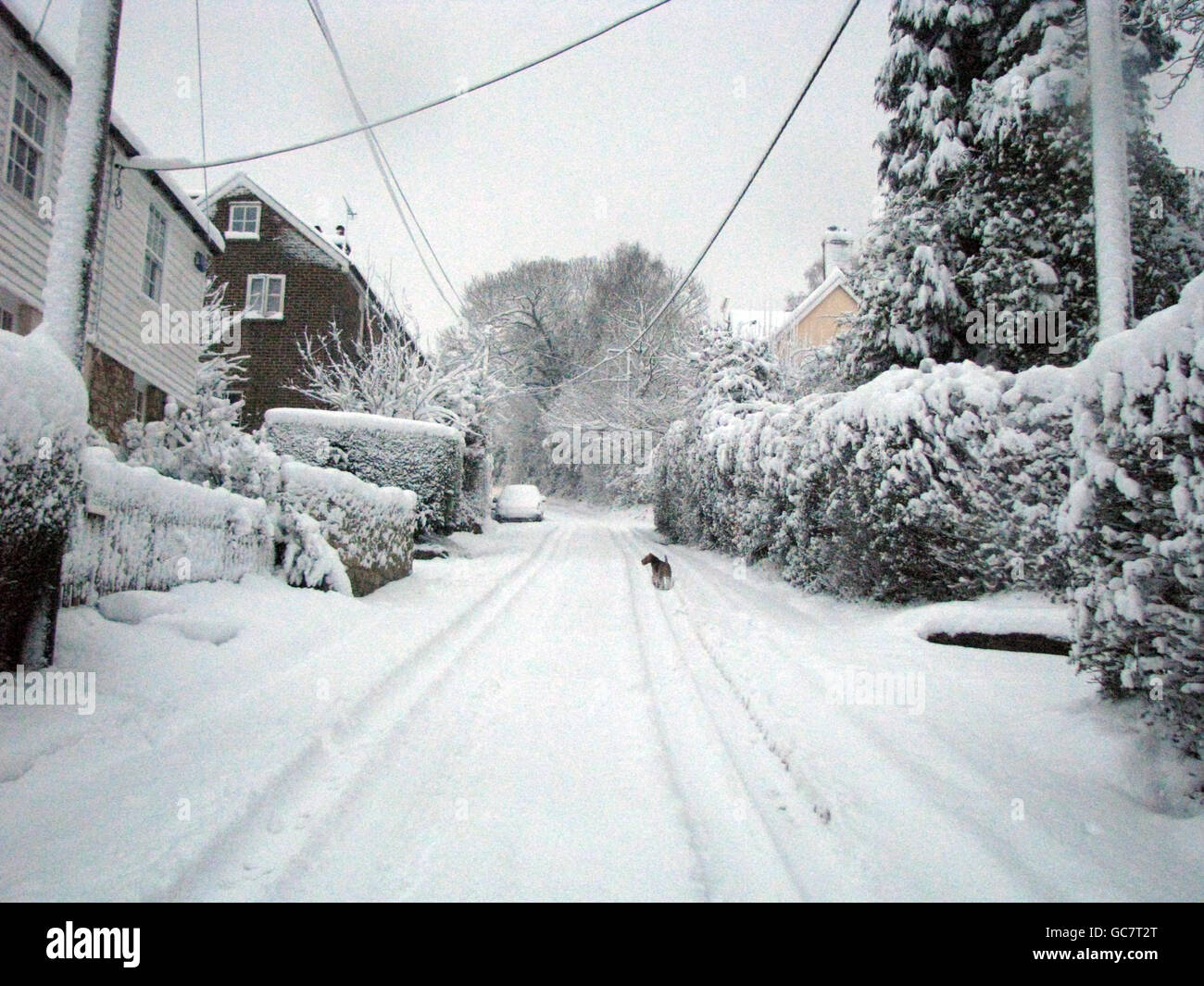 The mardens hi-res stock photography and images - Alamy