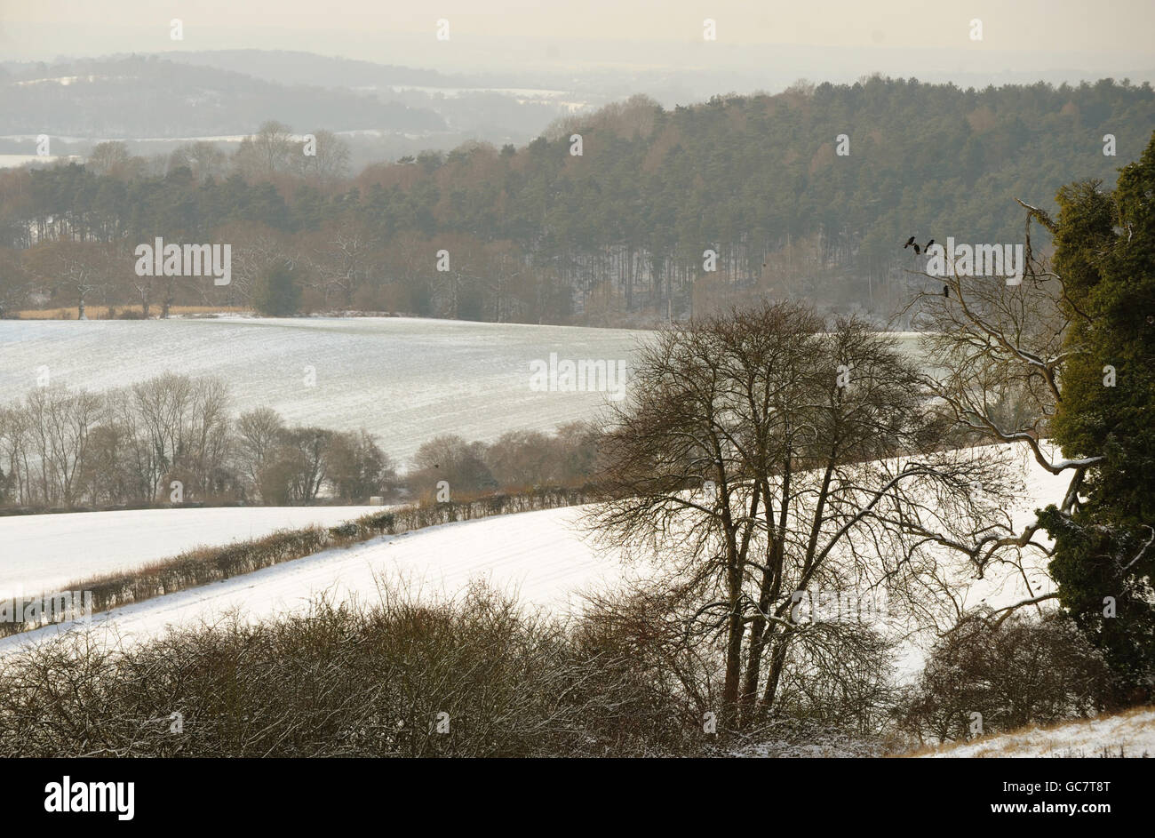 A general view of snow covering the Surrey Hills near Guildford, Surrey ...
