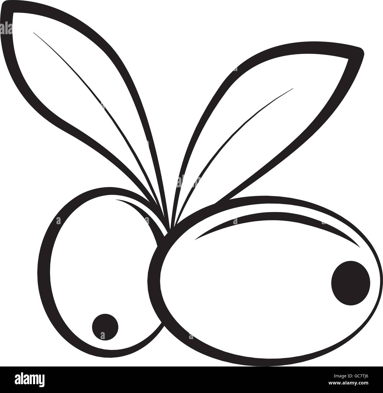 Olive fruit icon. Organic and healthy food design. Vector graph Stock ...