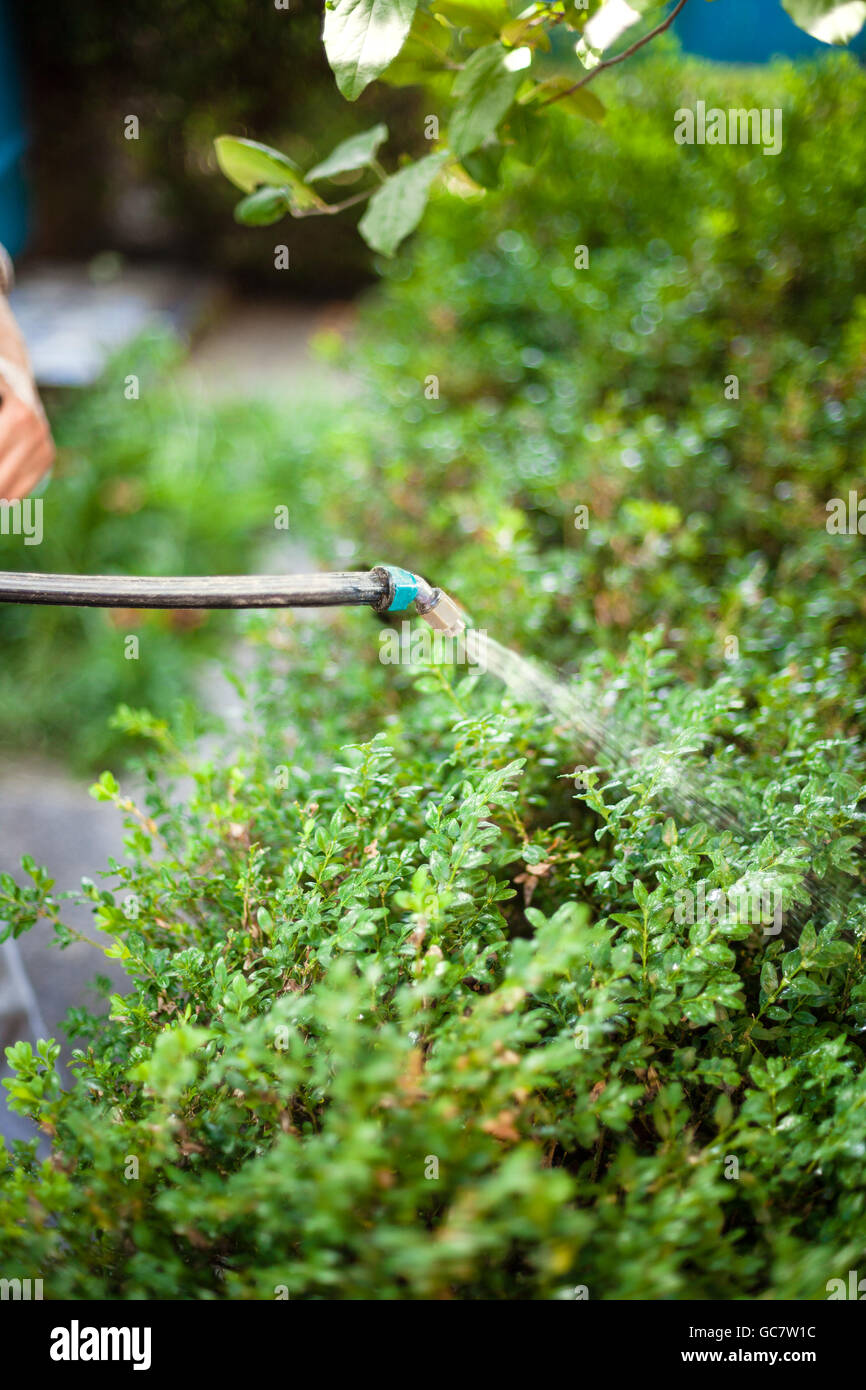 Farmer spraying pesticide hi-res stock photography and images - Alamy