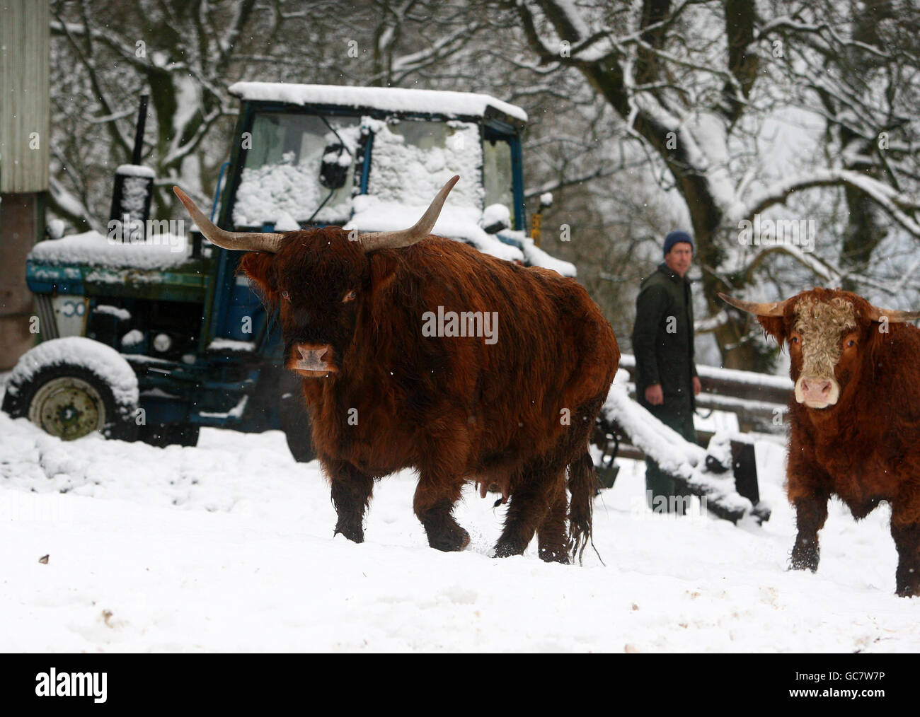 Central scotland snow continues fall over central scotland hi-res stock ...