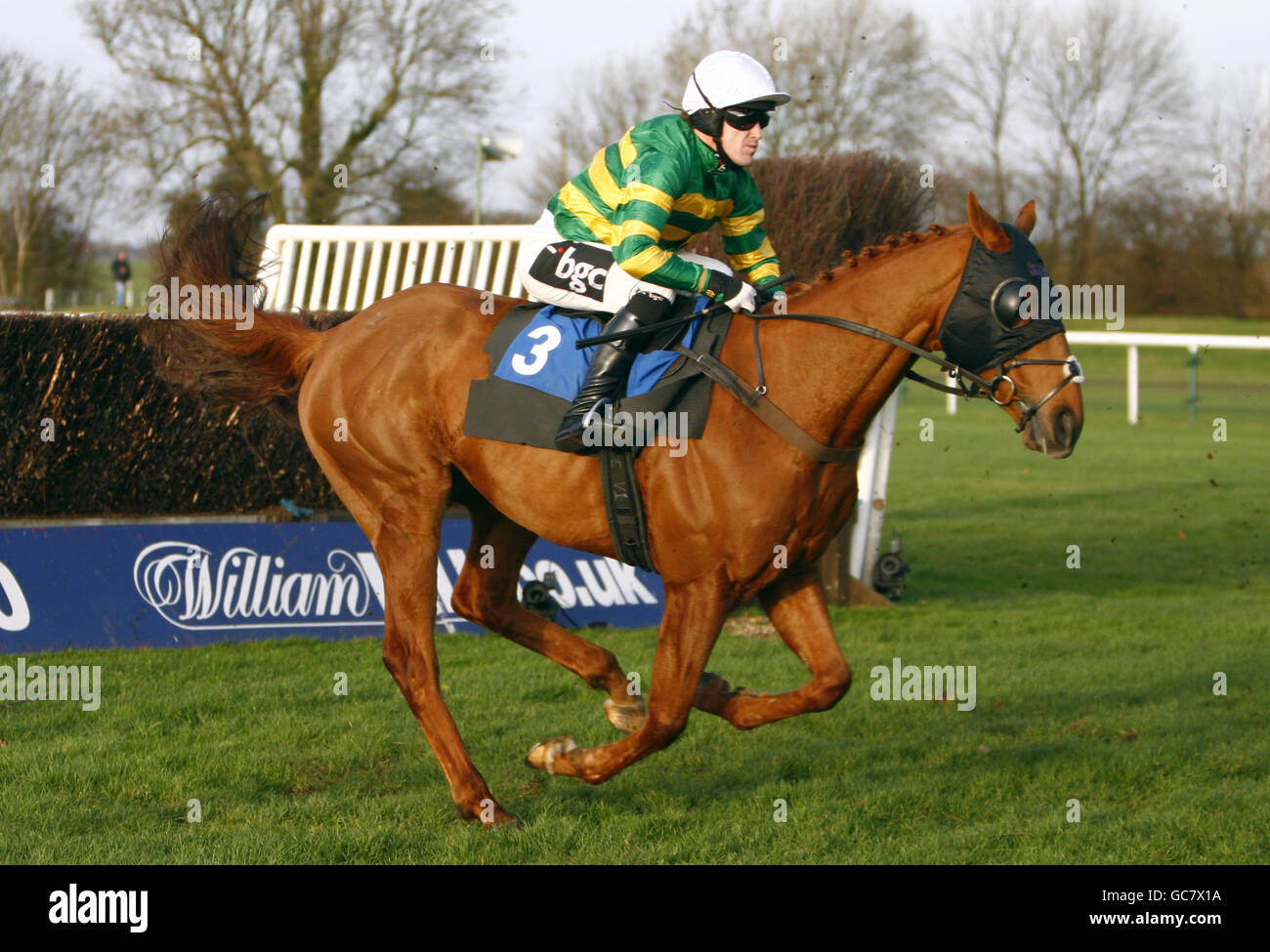 South african horse racing hi-res stock photography and images - Alamy