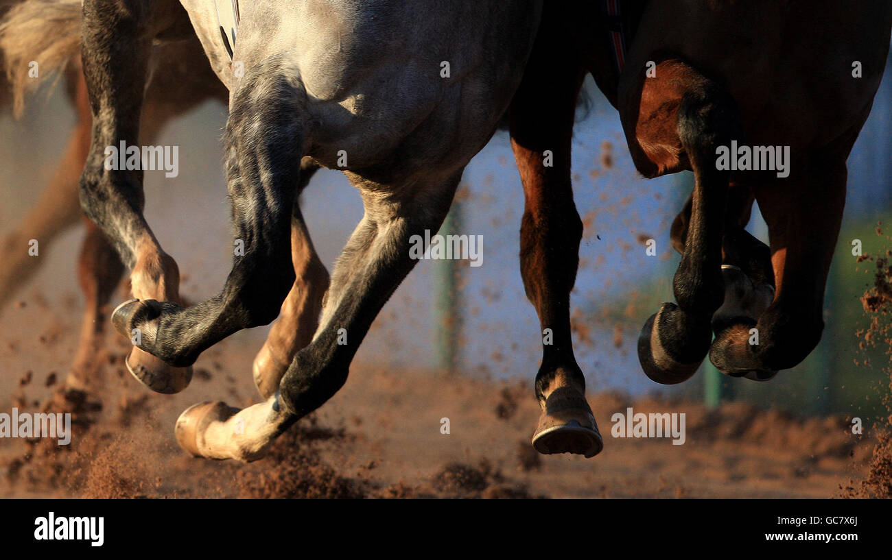 Lady Florence goes around the first bend in The BET British with ...