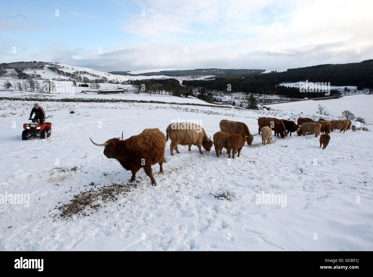 Winter weather - Scotland Stock Photo - Alamy