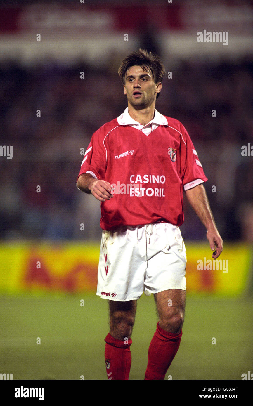PORTUGUESE SOCCER. JOAO PINTO, BENFICA Stock Photo - Alamy