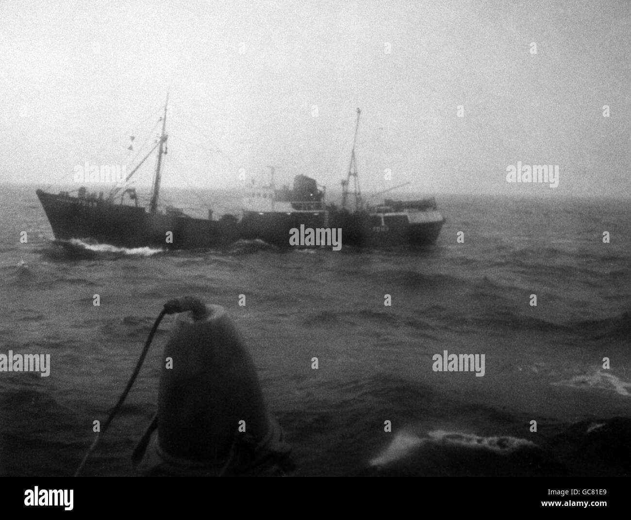 Cod war hi-res stock photography and images - Alamy