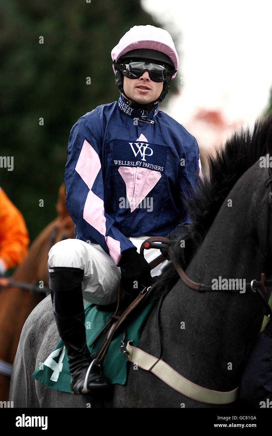 Sam thomas horse hi-res stock photography and images - Alamy