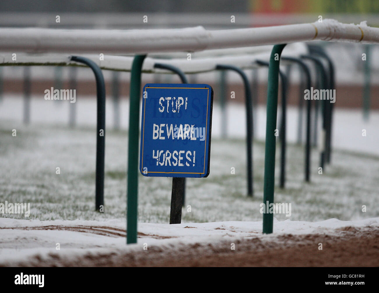 Horses gv general view hi-res stock photography and images - Alamy