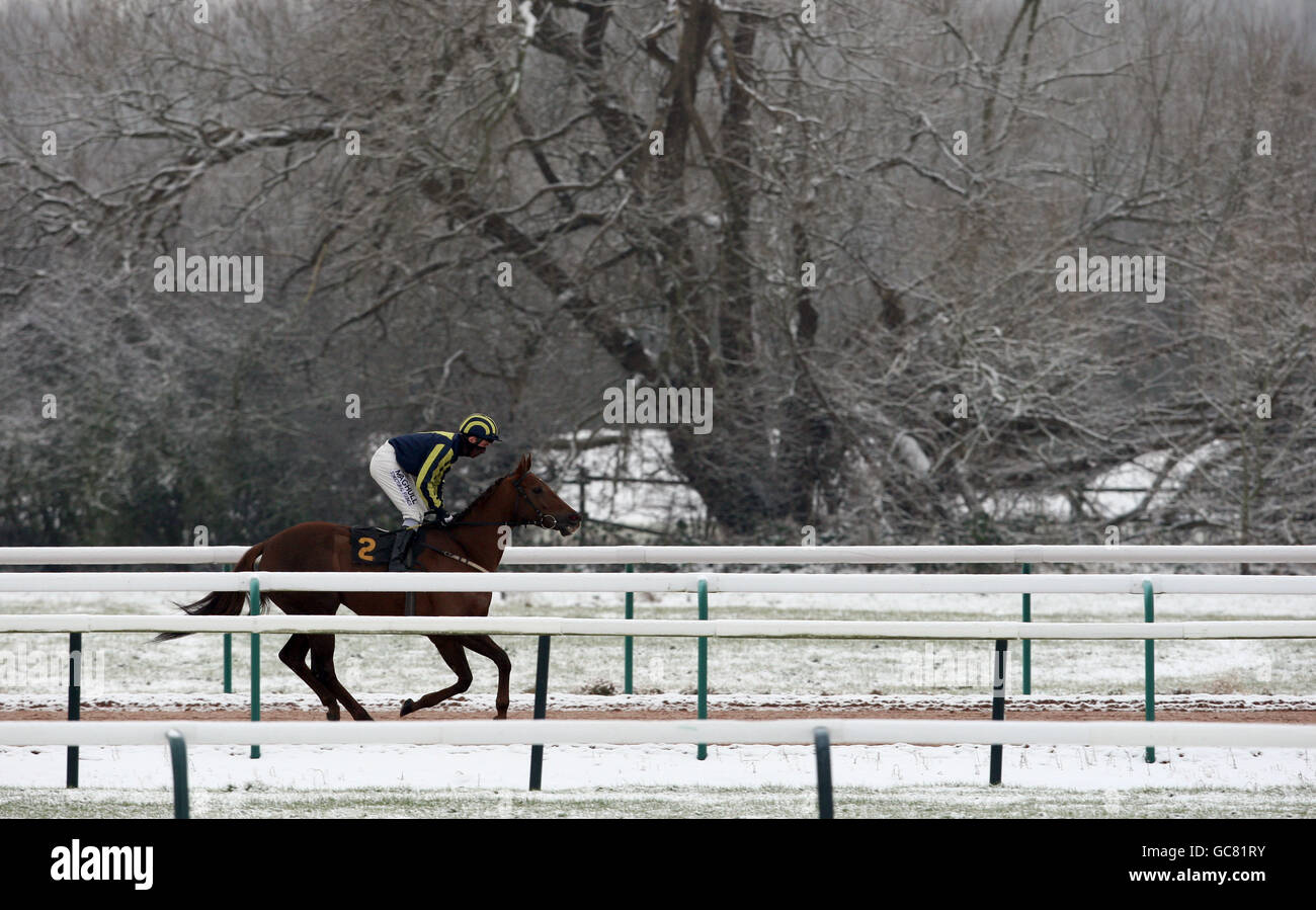 Shane kelly jockey hi-res stock photography and images - Alamy