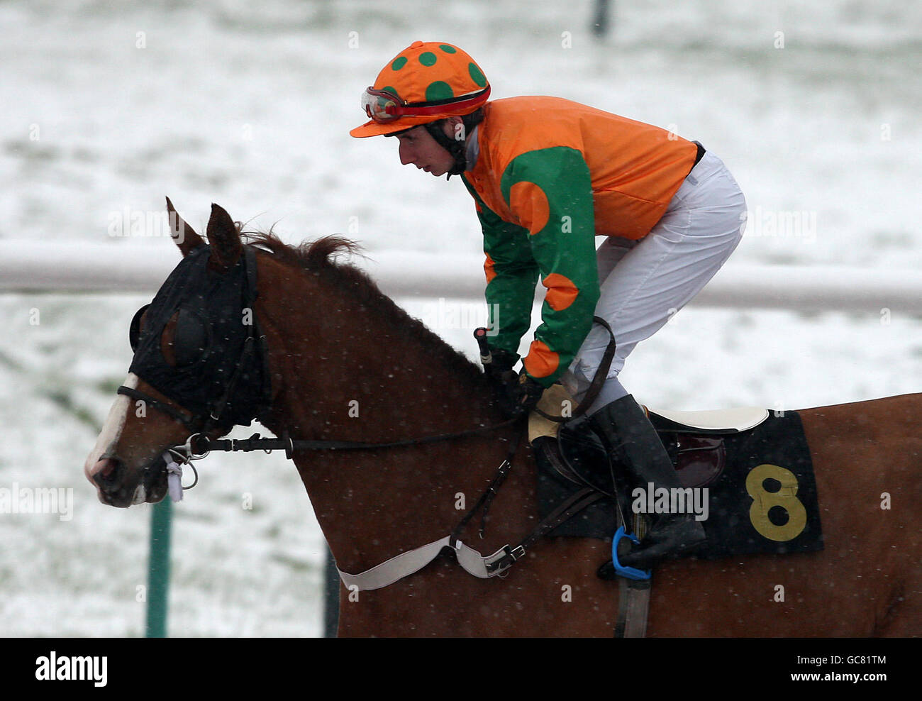 James sullivan jockey hi-res stock photography and images - Alamy
