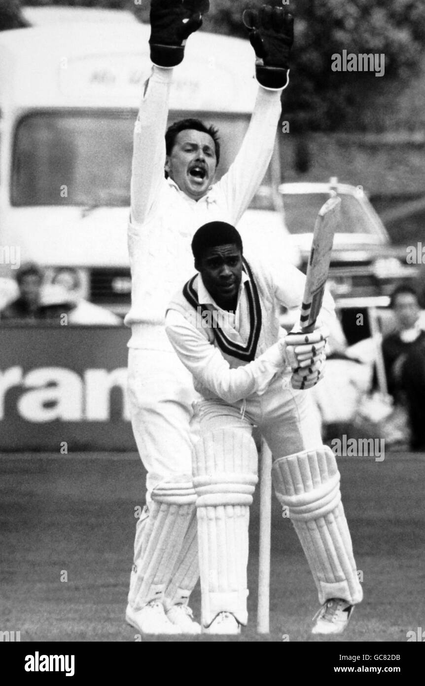 Cricket - Sussex v West Indians - West Indies in England 1988 - County ...