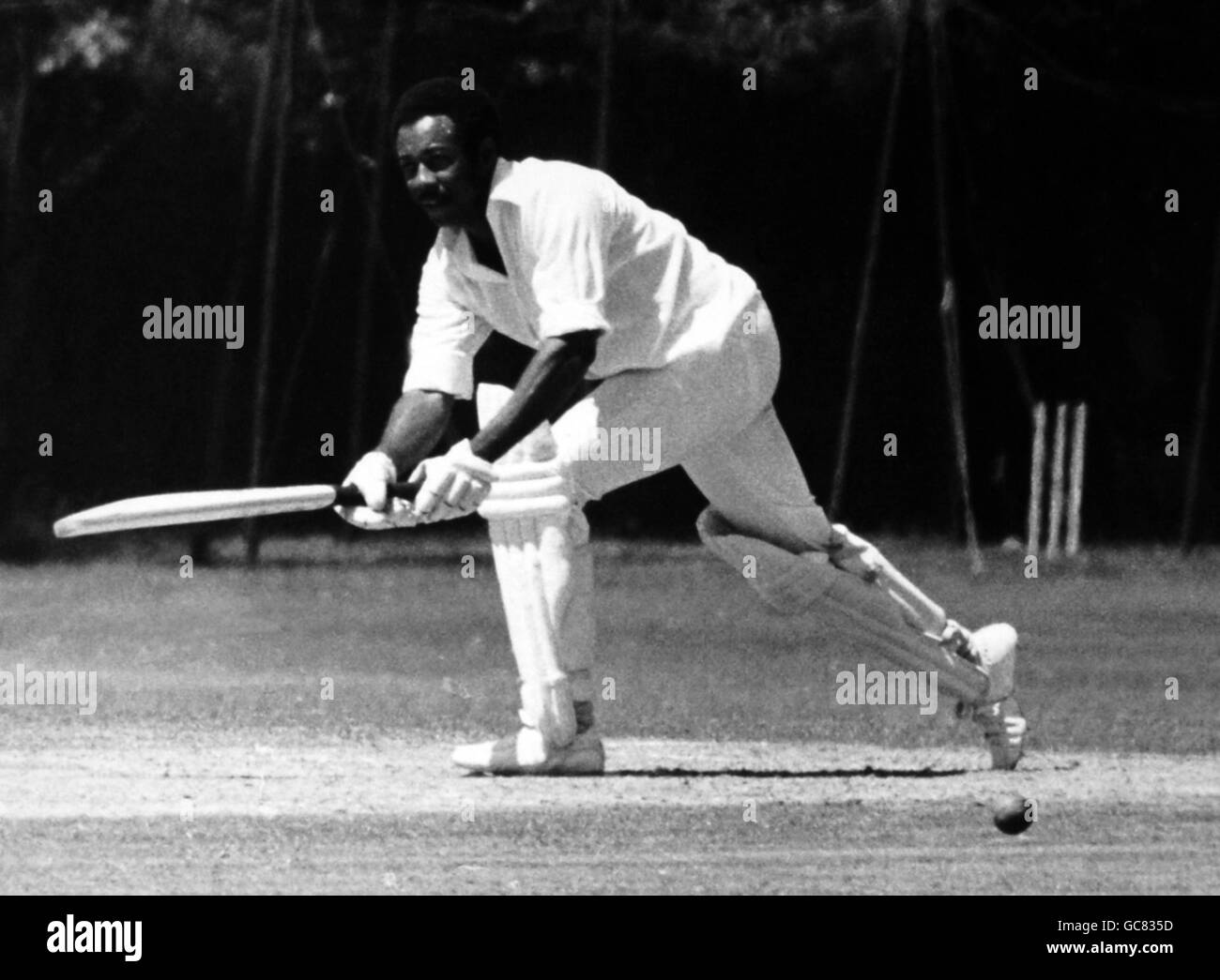 Maurice foster of jamaica hi-res stock photography and images - Alamy