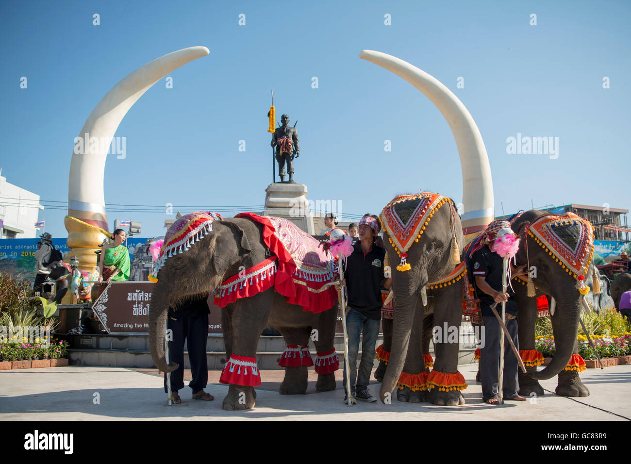 Elephants and People at the Elephant Square in the city centre of Surin ...