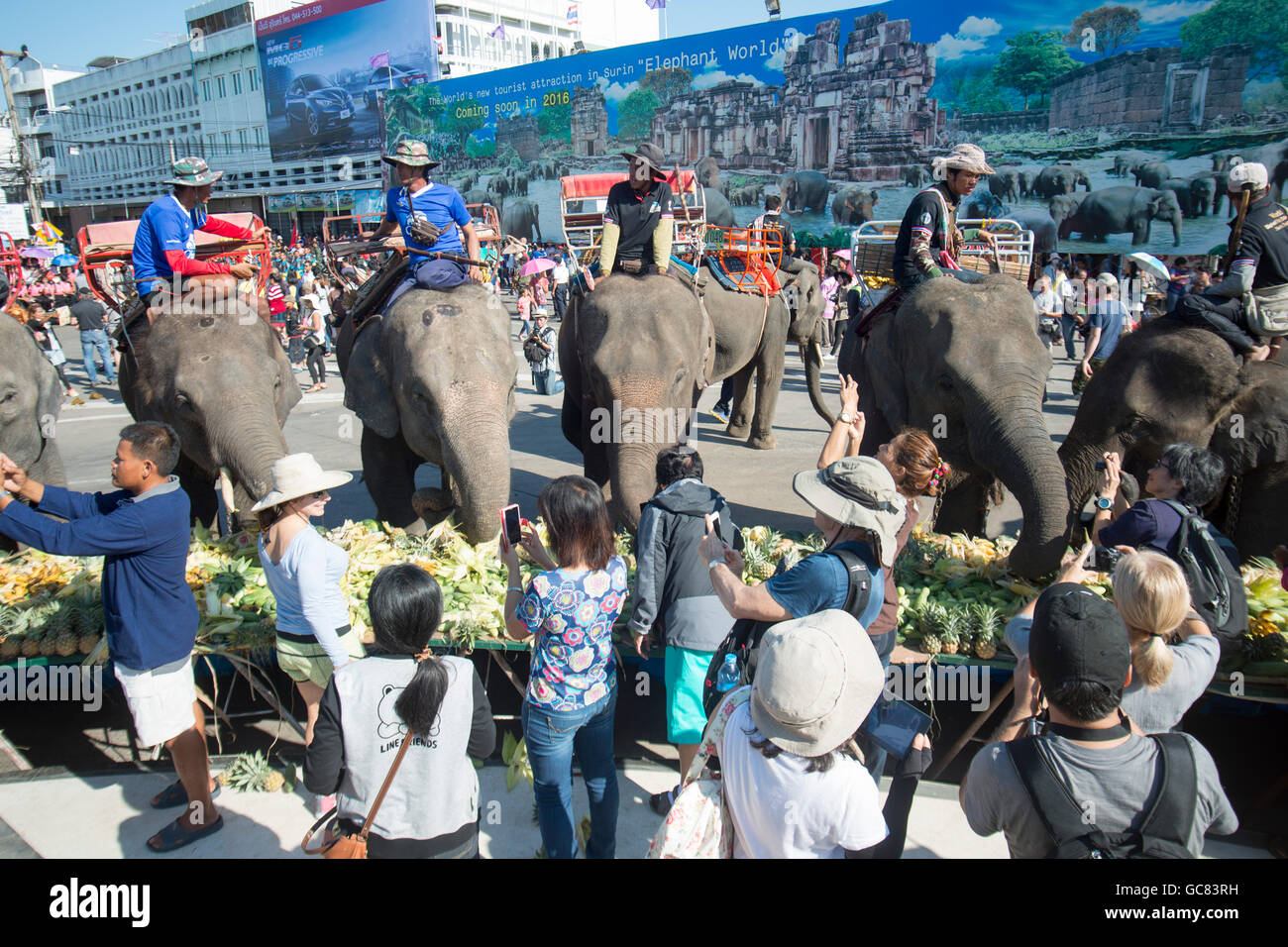 Elephants and People at the Elephant Square in the city centre of Surin ...