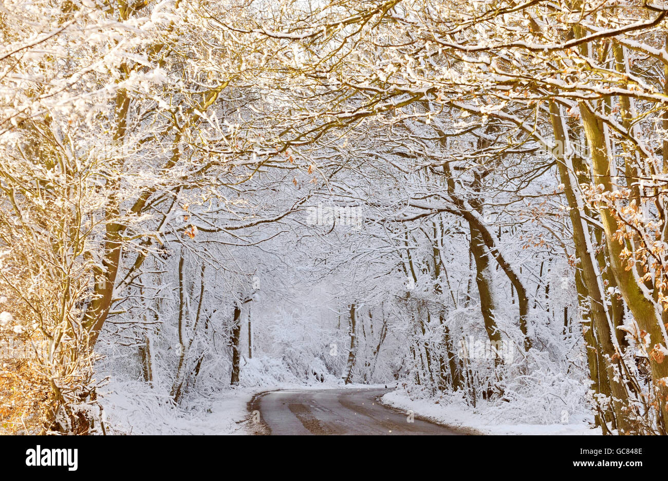 Seasonal weathe hi-res stock photography and images - Alamy