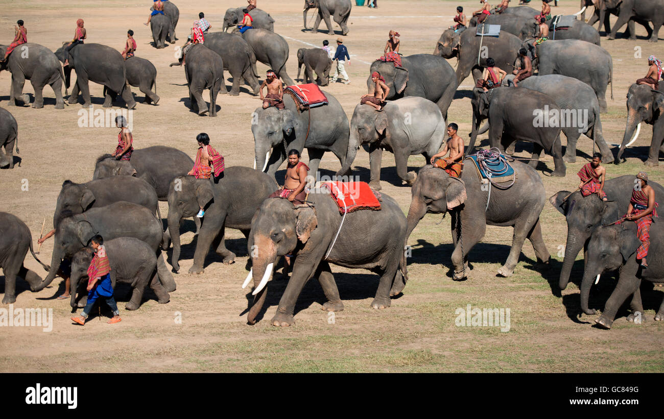the big Elephant show in the Stadium at the Elephant Round-up Festival ...