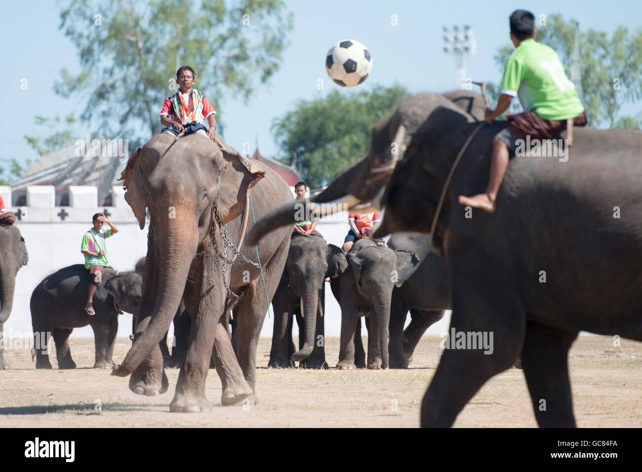 Elephant football hi-res stock photography and images - Alamy
