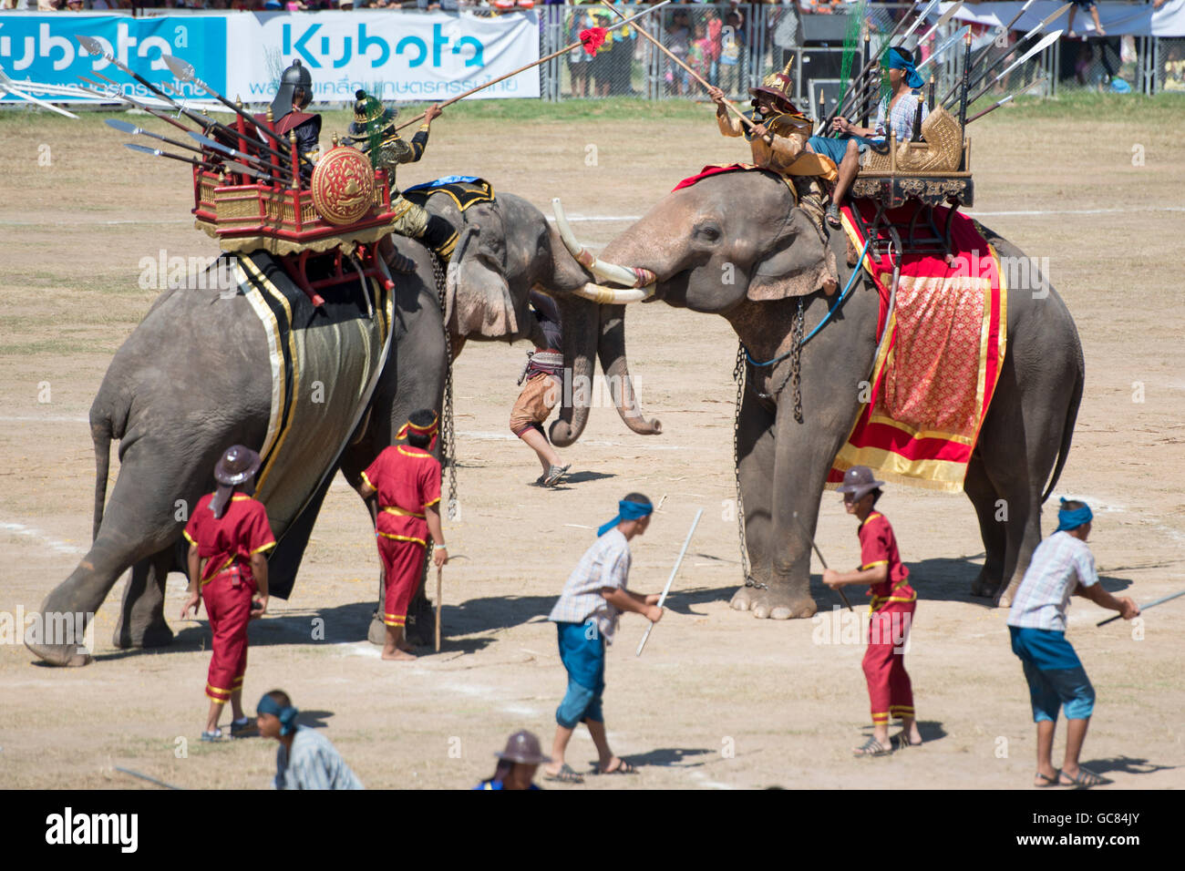 the big Elephant show in the Stadium at the Elephant Round-up Festival ...