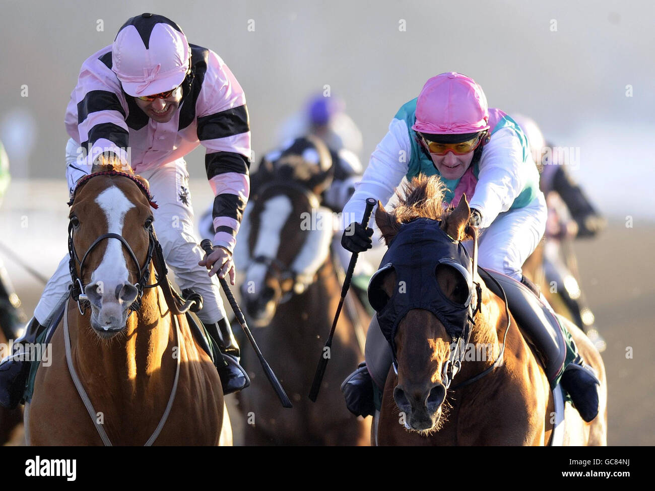 Tranquil Tiger and Tom Queally (right) win The Bet Live In Play At ...