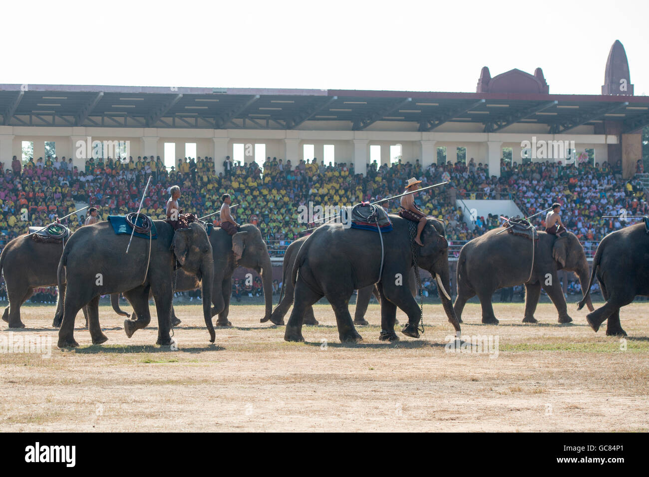 the big Elephant show in the Stadium at the Elephant Round-up Festival ...