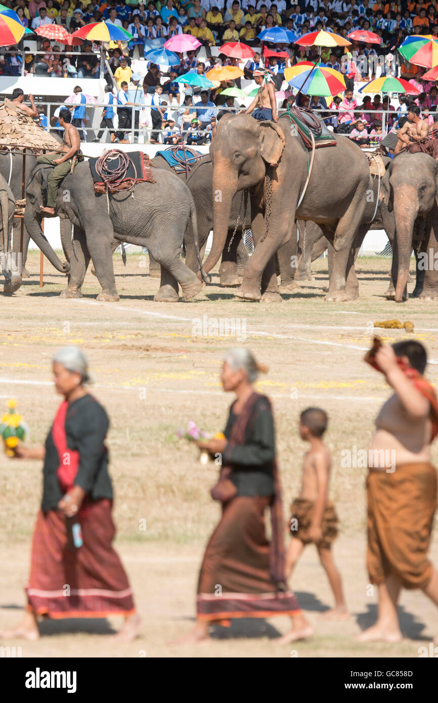 the big Elephant show in the Stadium at the Elephant Round-up Festival ...