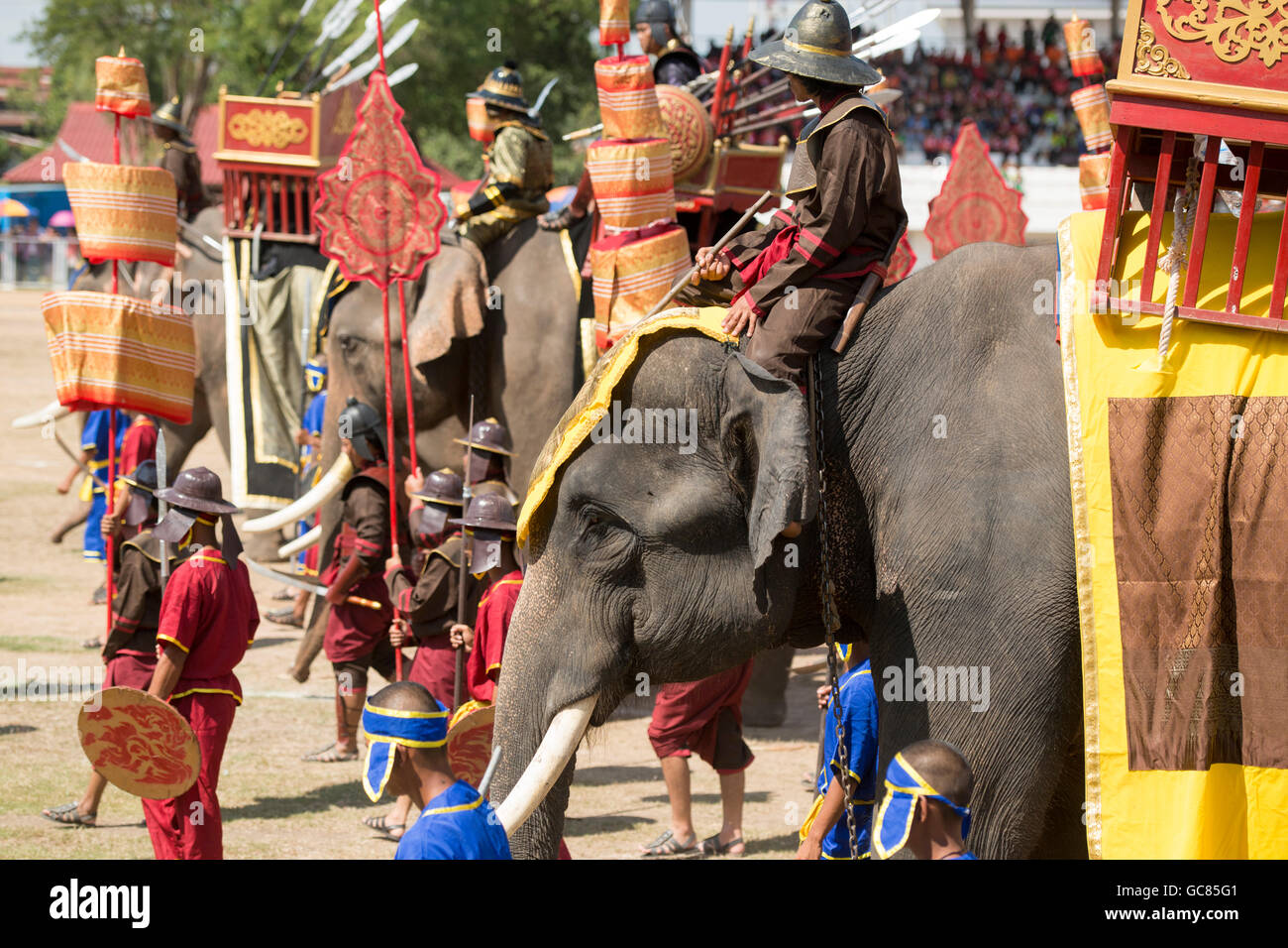 the big Elephant show in the Stadium at the Elephant Round-up Festival ...