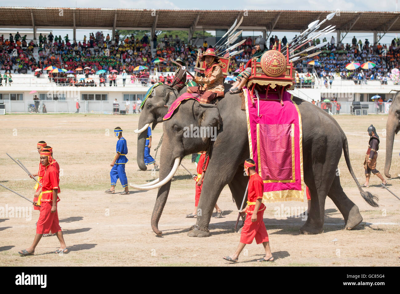 the big Elephant show in the Stadium at the Elephant Round-up Festival ...