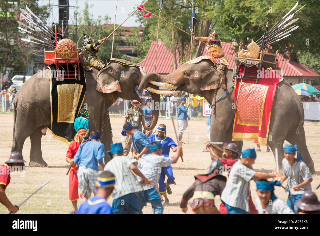 the big Elephant show in the Stadium at the Elephant Round-up Festival ...