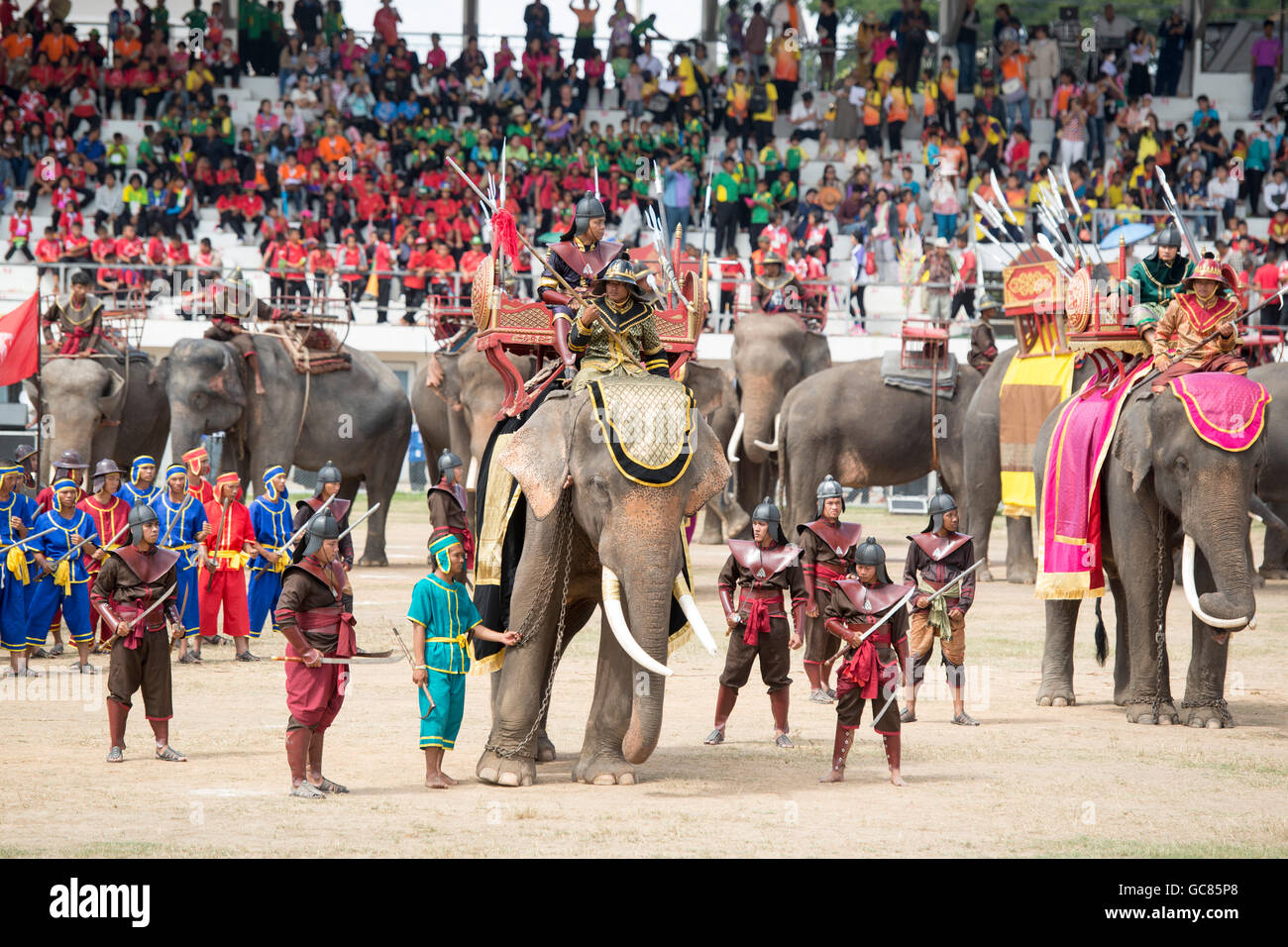 the big Elephant show in the Stadium at the Elephant Round-up Festival ...