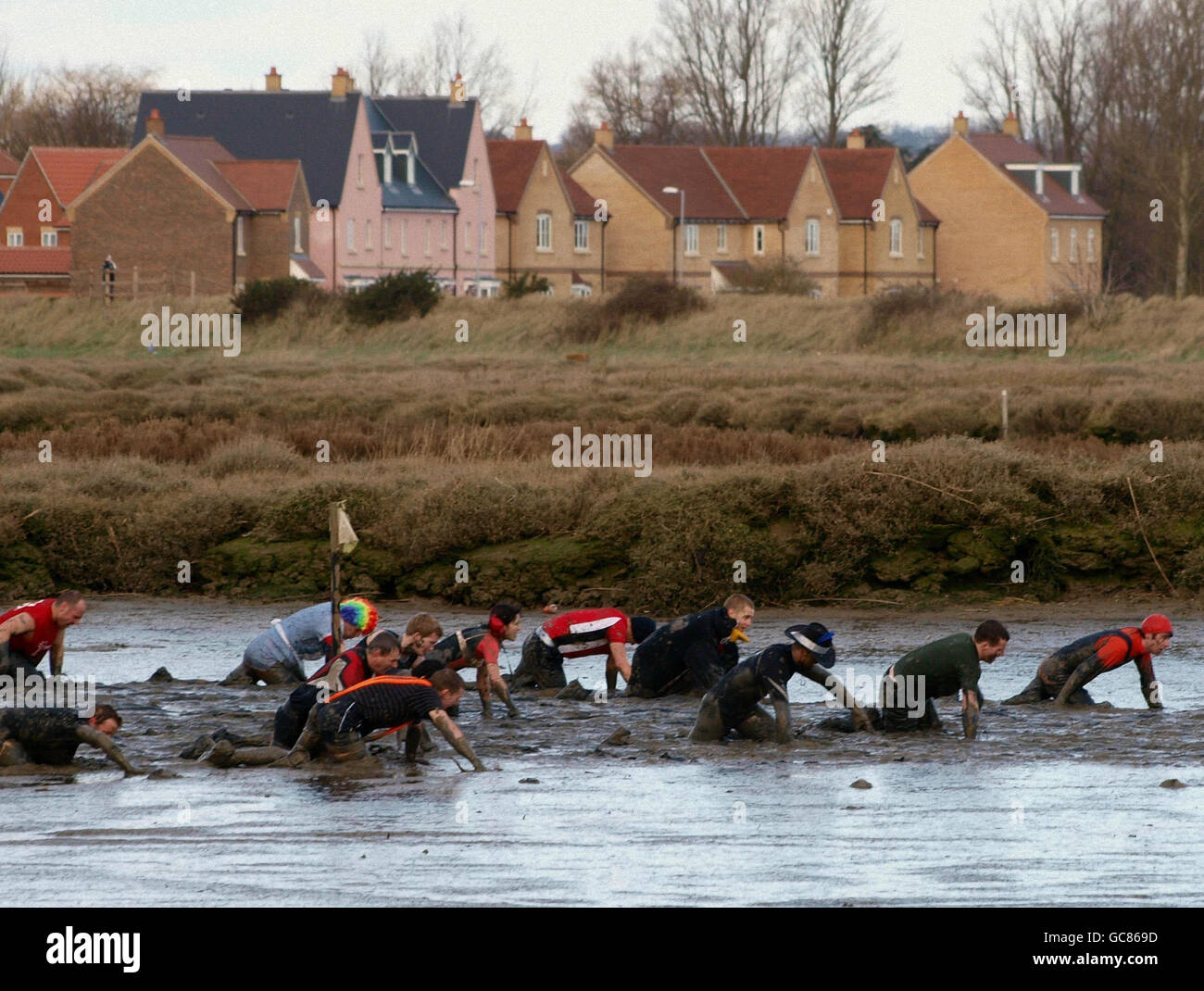 Competitors crawl along mud bank maldon mud race in maldon hi-res stock ...