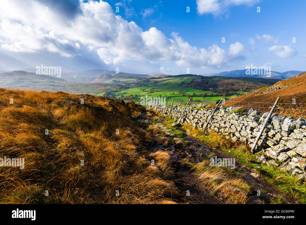 View west from Gowbarrow Fell towards Great Dodd, Matterdale Common and ...