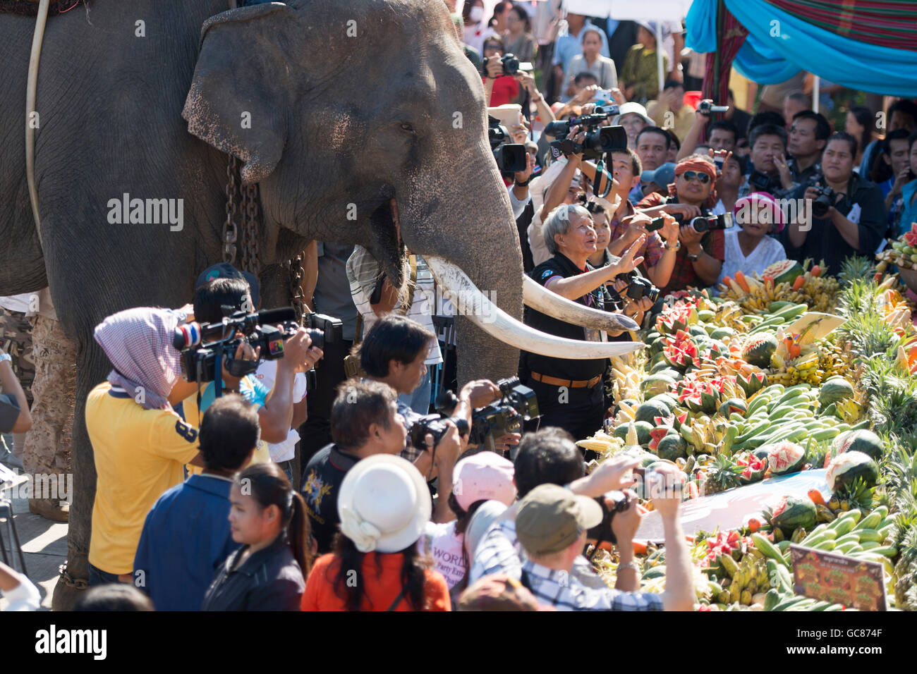 Elephants and People at the Elephant Square in the city centre of Surin ...