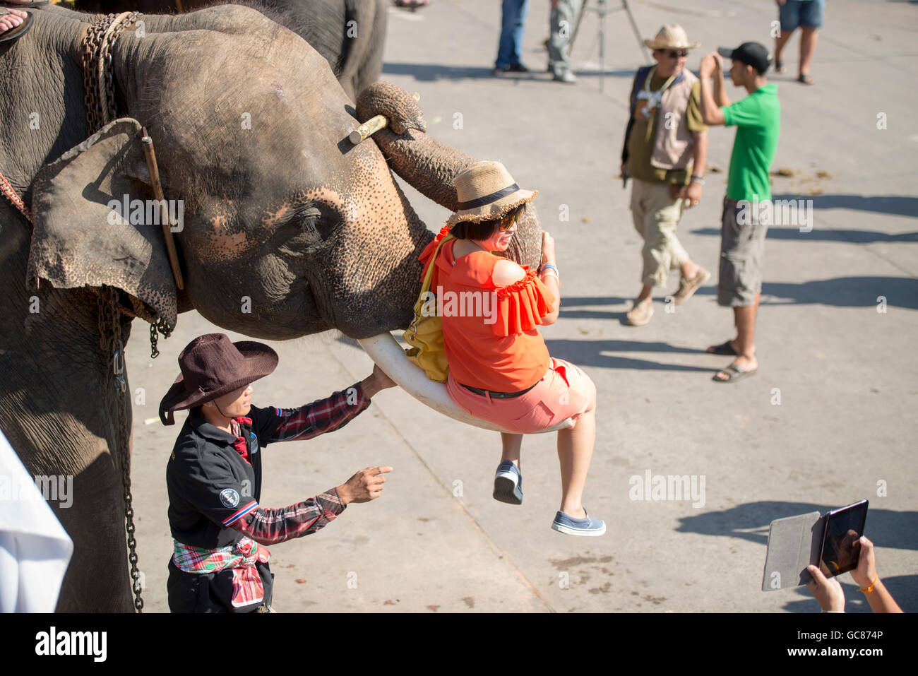 Elephants and People at the Elephant Square in the city centre of Surin ...