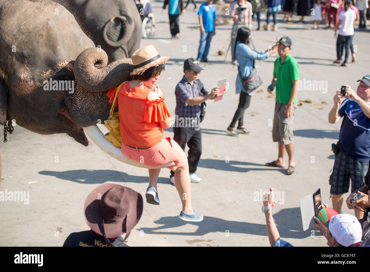 Elephants and People at the Elephant Square in the city centre of Surin ...