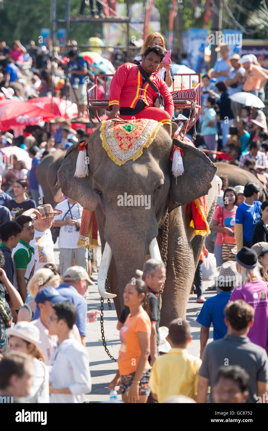 Elephants and People at the Elephant Square in the city centre of Surin ...