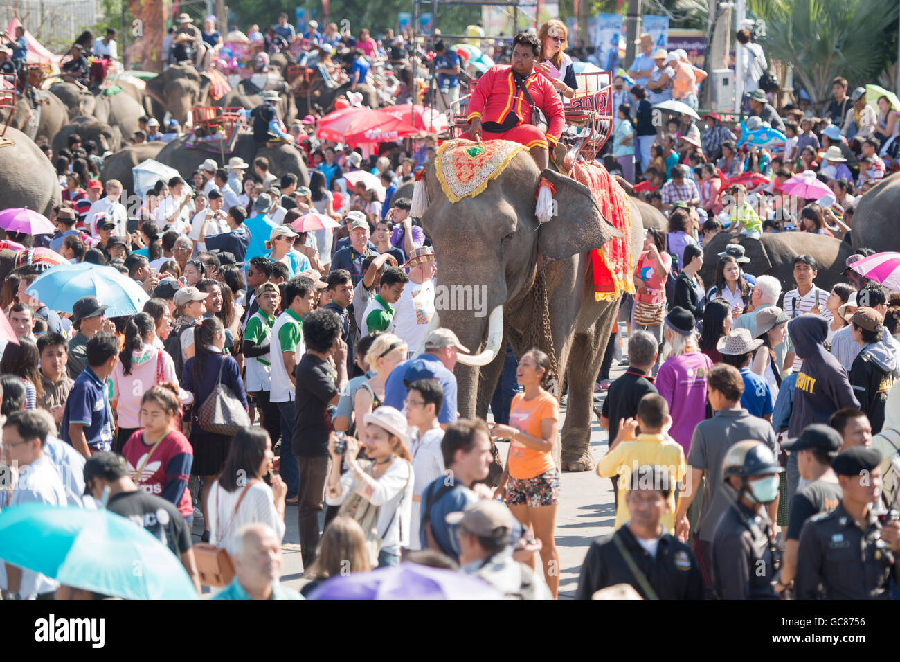Elephants and People at the Elephant Square in the city centre of Surin ...