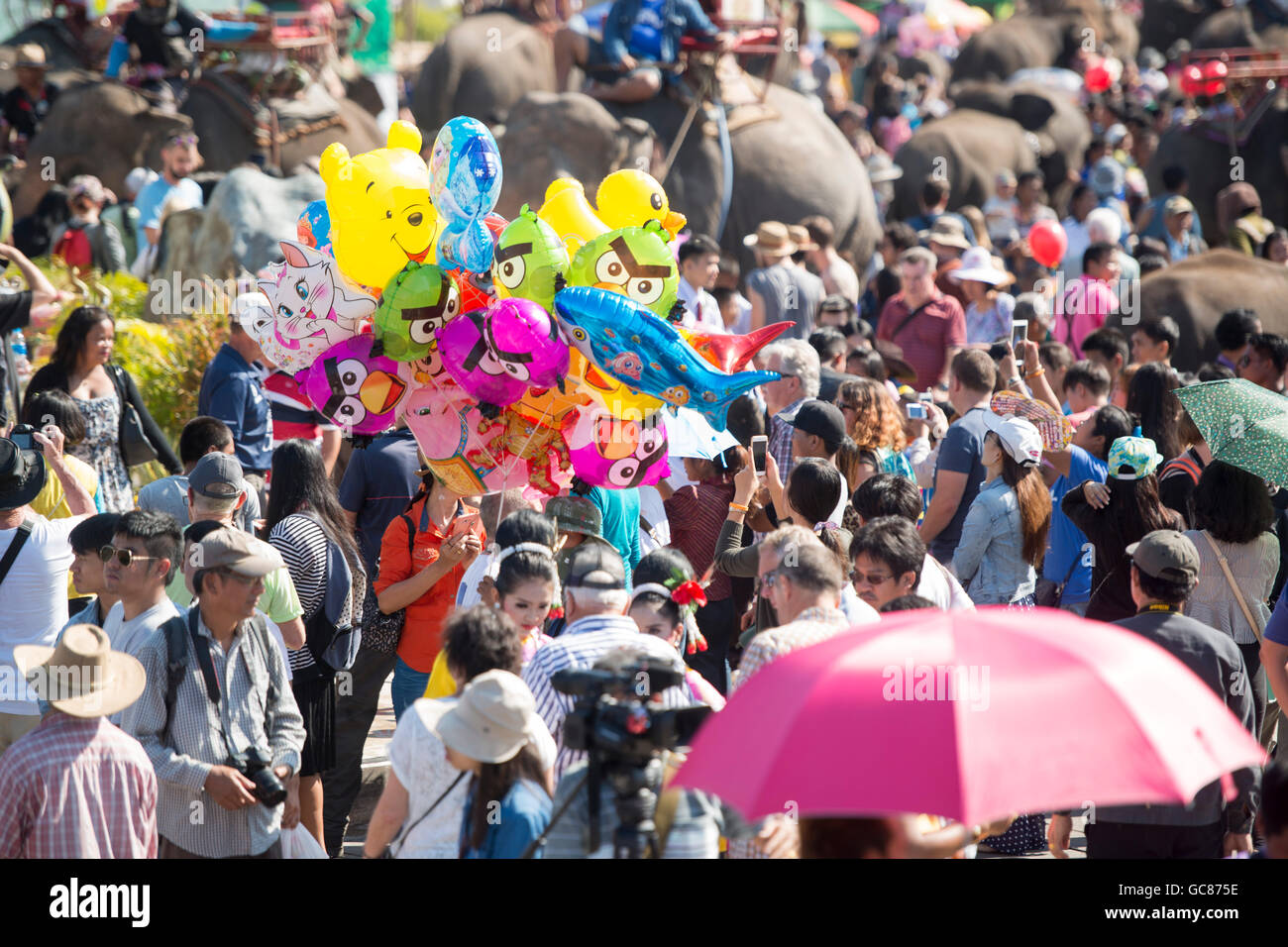 Elephants and People at the Elephant Square in the city centre of Surin ...