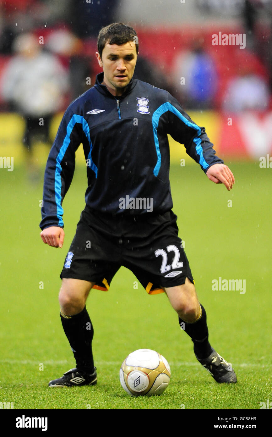 Damien johnson forest hi-res stock photography and images - Alamy