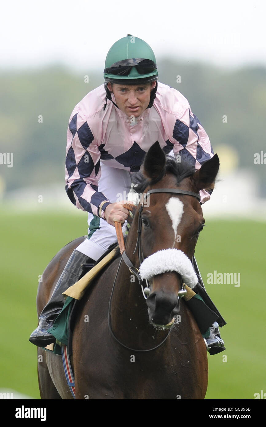 Shergar horse hi-res stock photography and images - Alamy