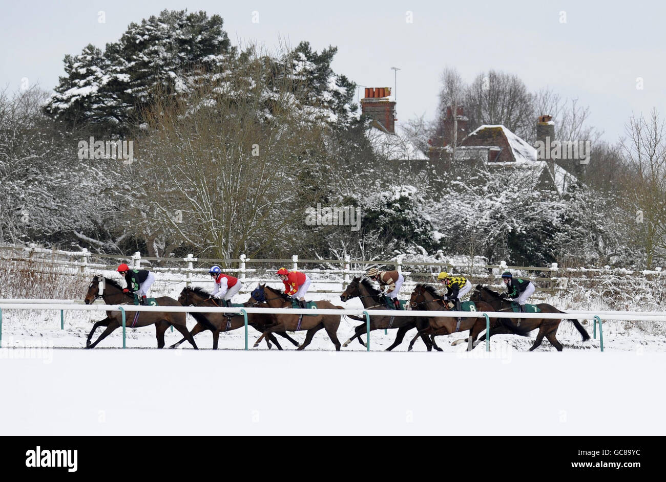 Horse Racing - Lingfield Racecourse Stock Photo - Alamy