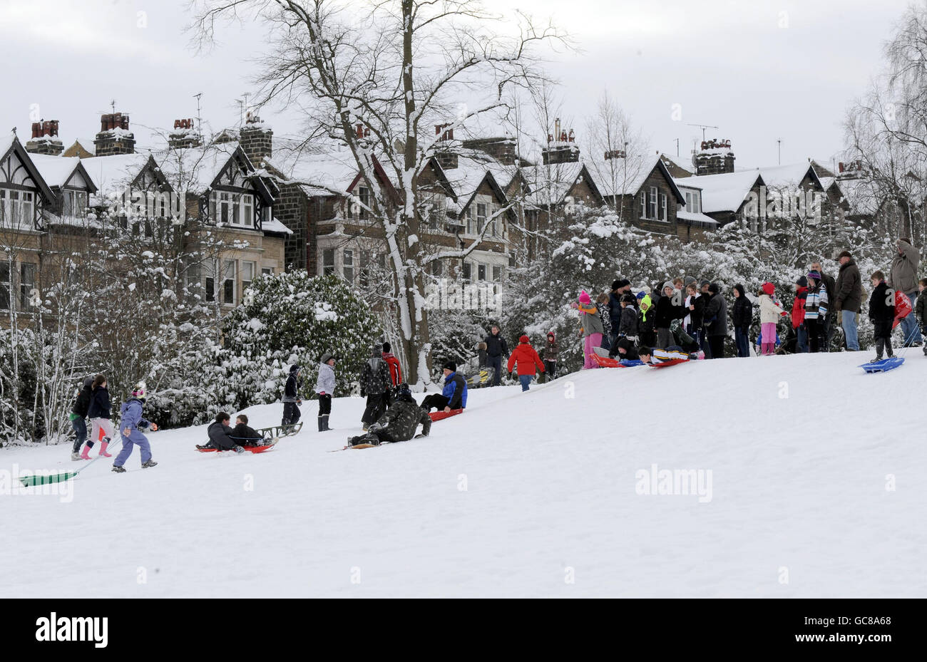 Deep snow brings out the sledges in Harrogate today as the Severe ...