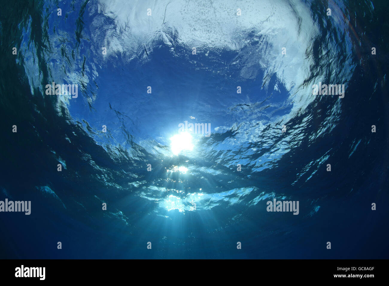 Water surface and sunlight in the ocean Stock Photo - Alamy